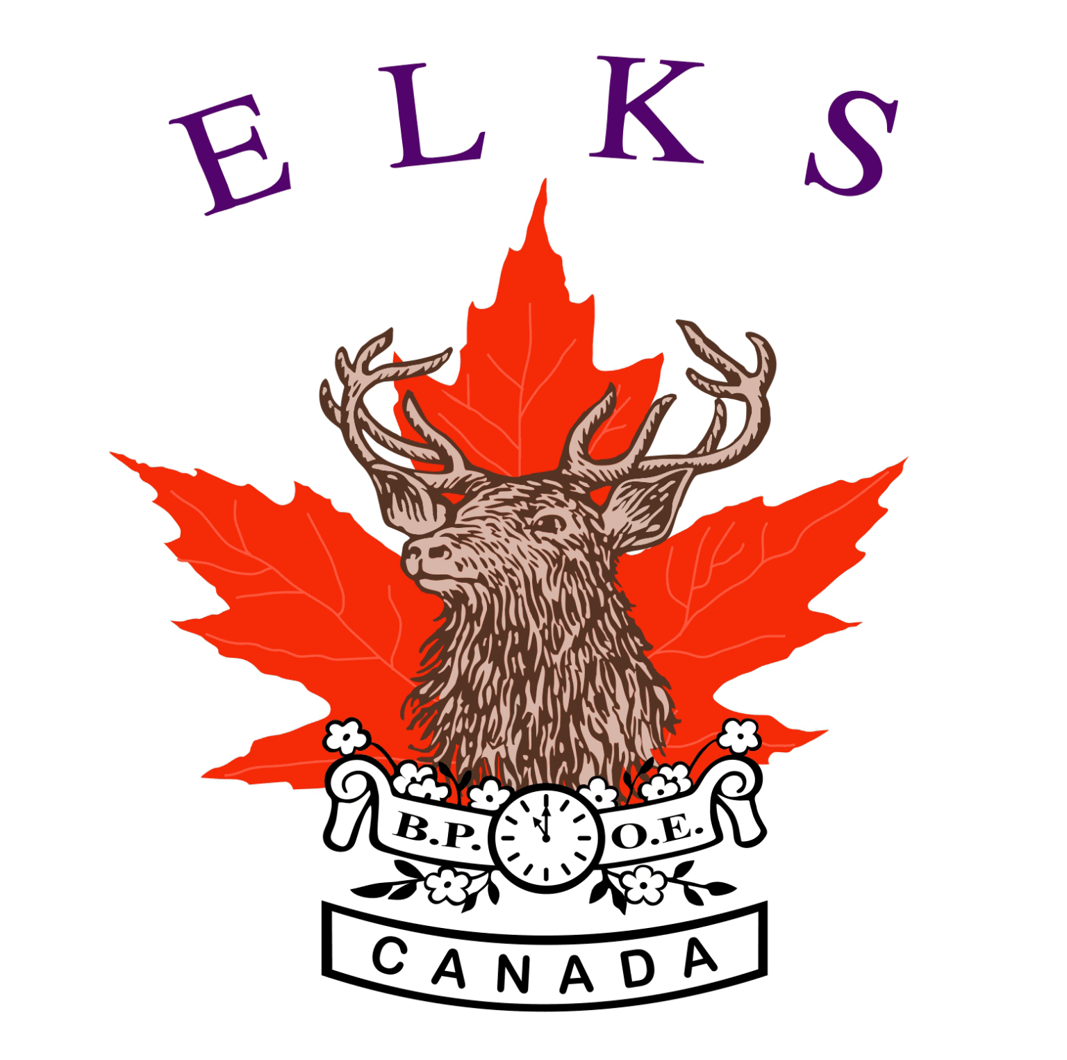 Centreville Elks Club fundraiser | River Valley Sun