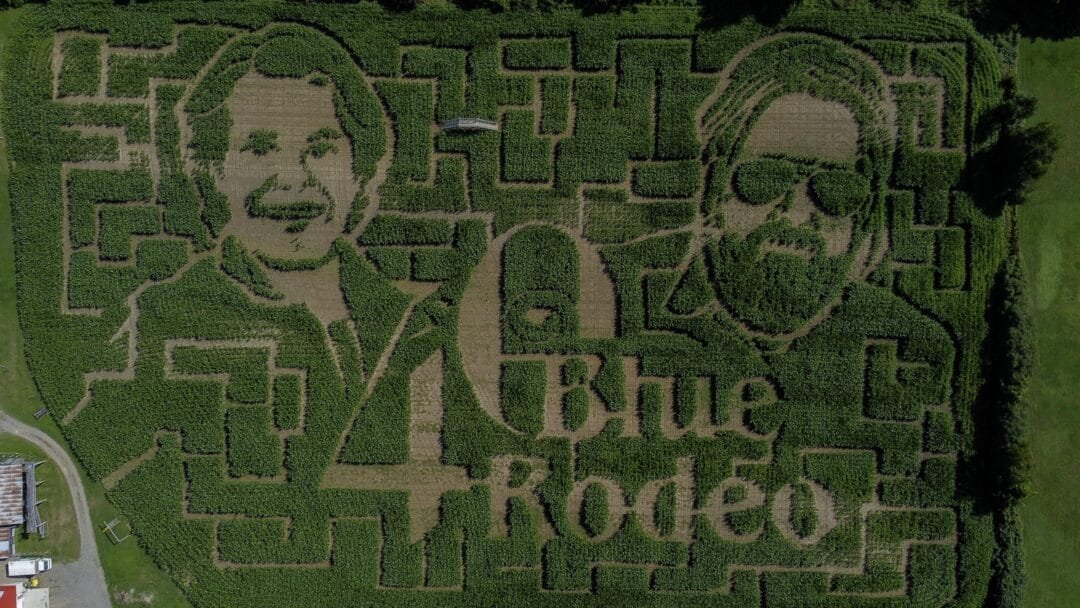 Hunter Brothers’ corn maze honours 40 years of Blue Rodeo | River ...